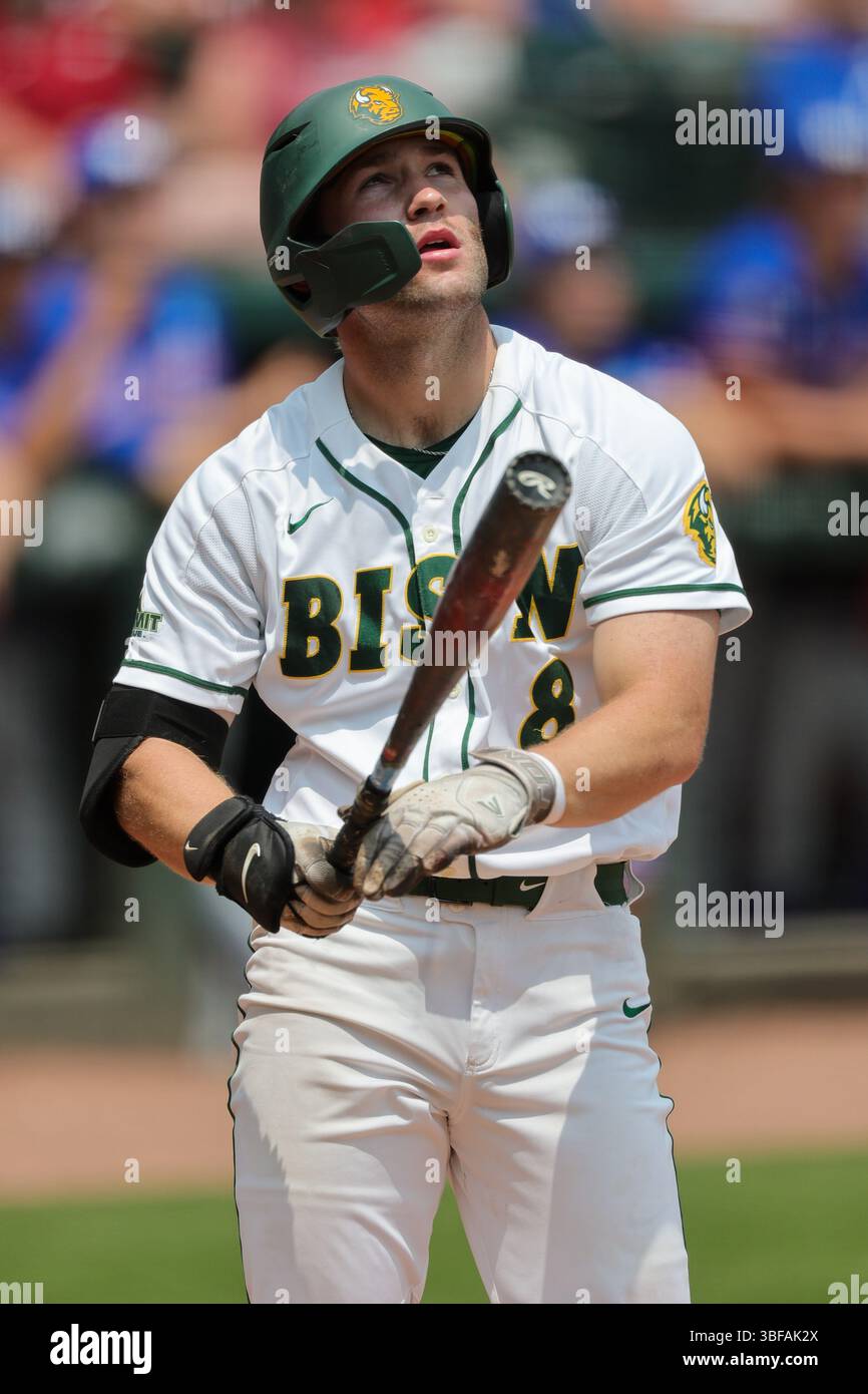 May 31, 2025: Sam Canton (8) Bison outfielder watches to see if a ball ...
