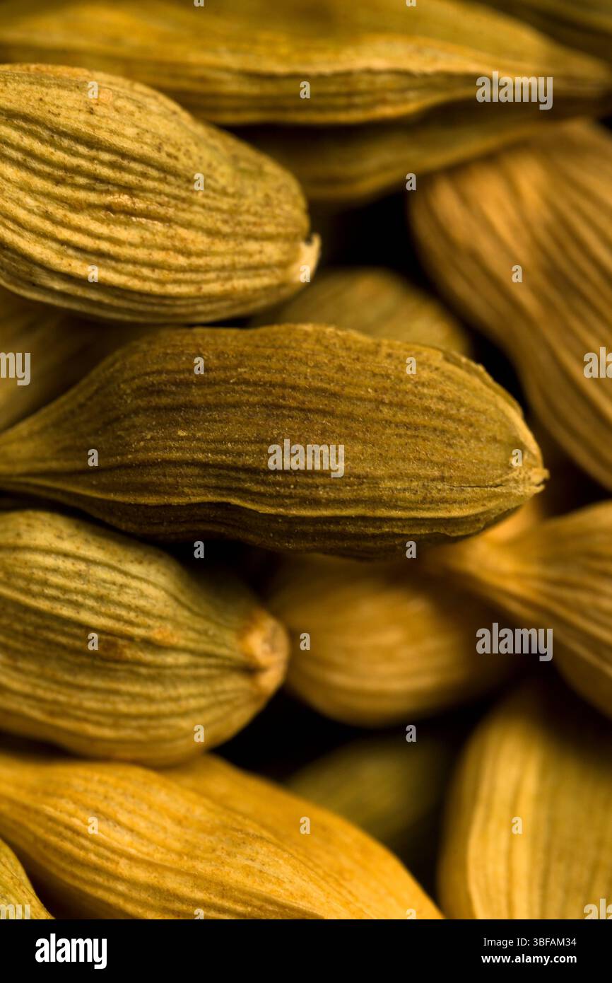 Macro photograph of dried green cardamom pods showing detailed textures ...