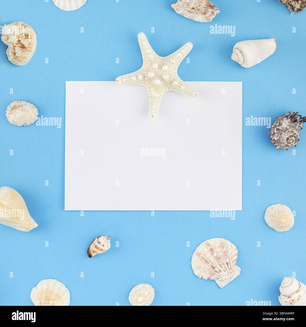 Minimalist minimalism seashells hi-res stock photography and images - Alamy