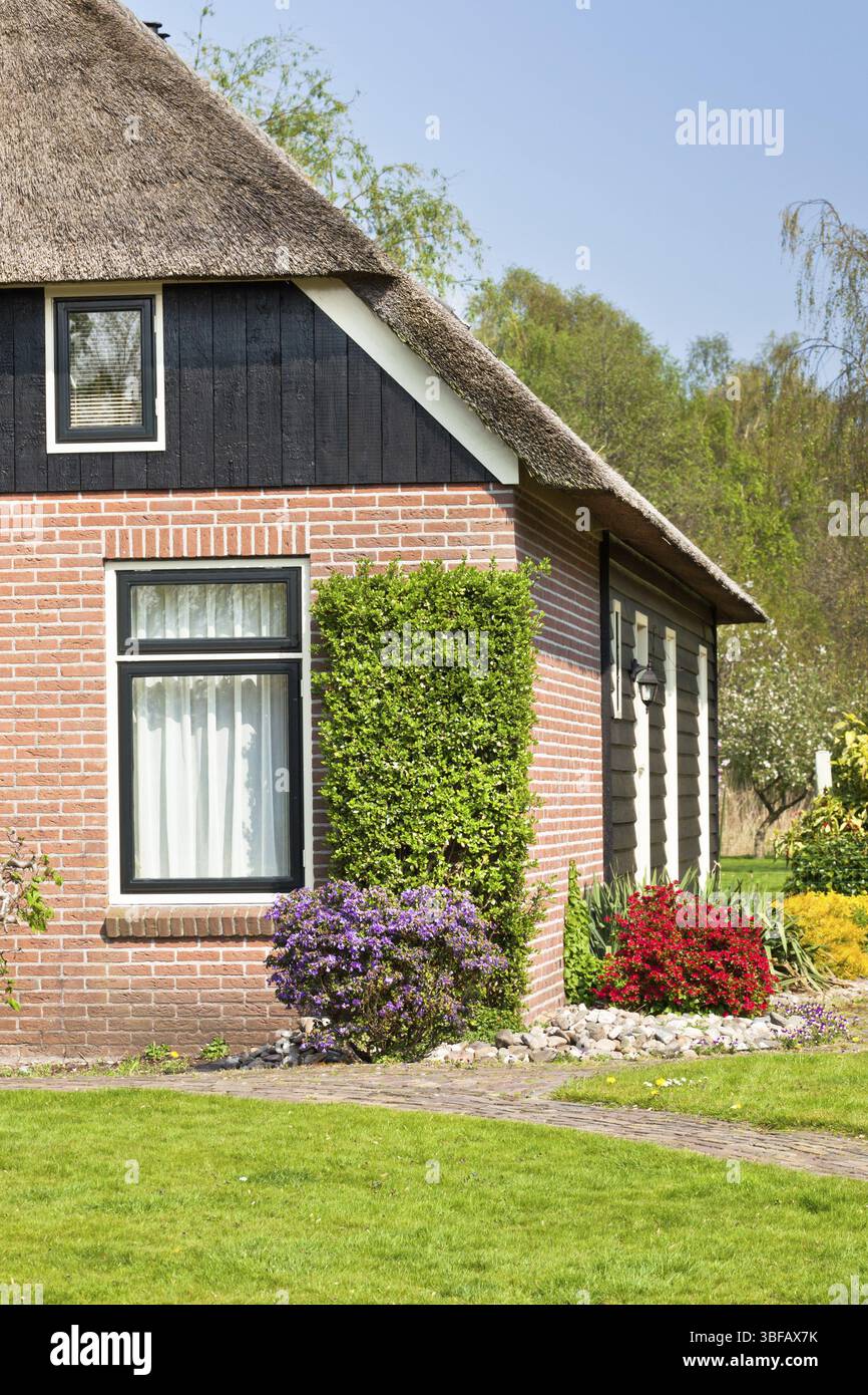 Typical suburban home yard. Vertical bright shot Stock Photo - Alamy