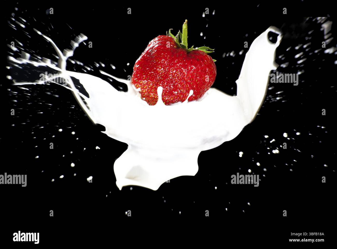Strawberry Making A Splash. Isolated on black background. Macro photo ...