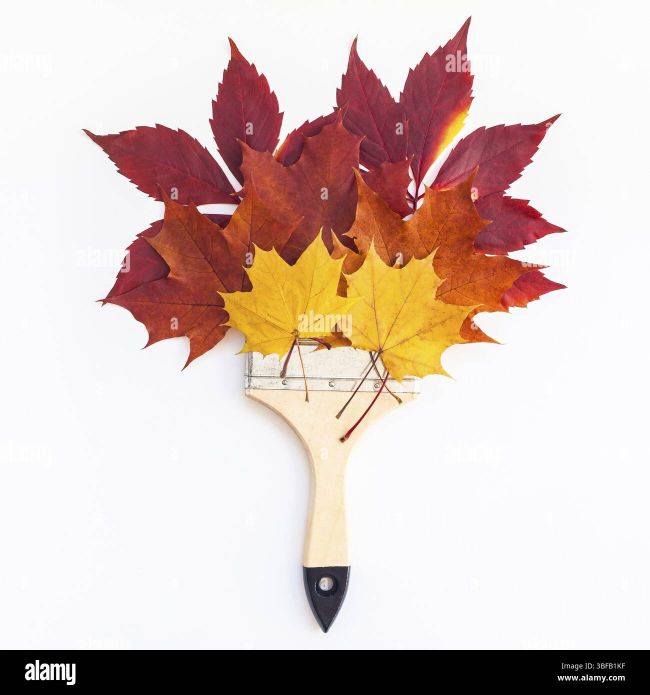 Top down autumn view Cut Out Stock Images & Pictures - Alamy