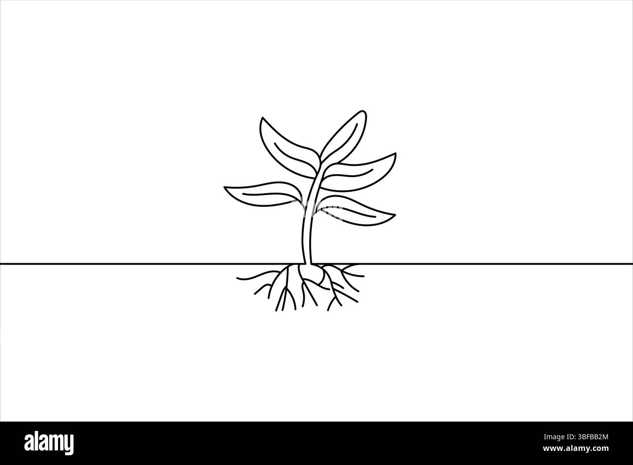 Simple black and white illustration of a plant growing upwards from its ...