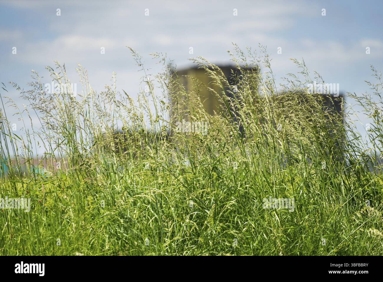 Field with tower blocks in the background Stock Photo - Alamy