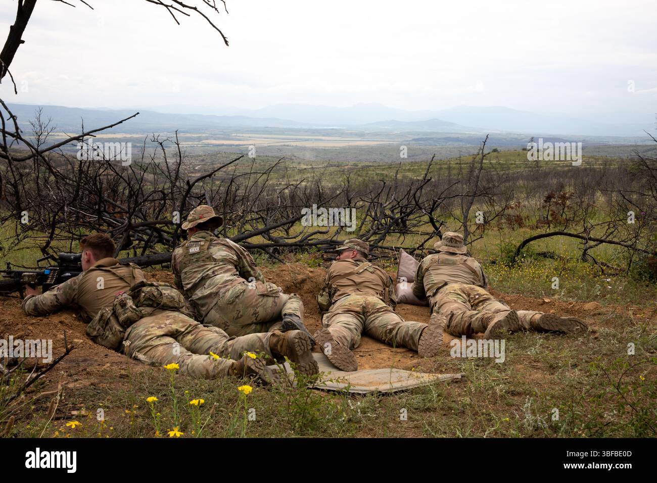 U.S. Army Soldiers assigned to Charlie Company, 3rd Battalion, 172nd ...