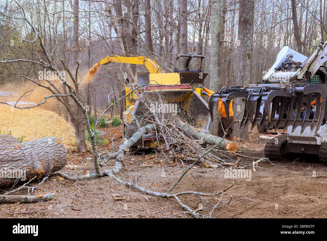 Heavy machinery operates to clear fallen branches trees in forested ...