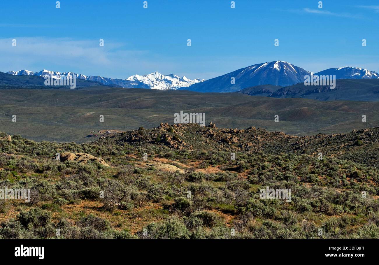 May 31, 2025: The rich green sage fields of the high desert of the ...