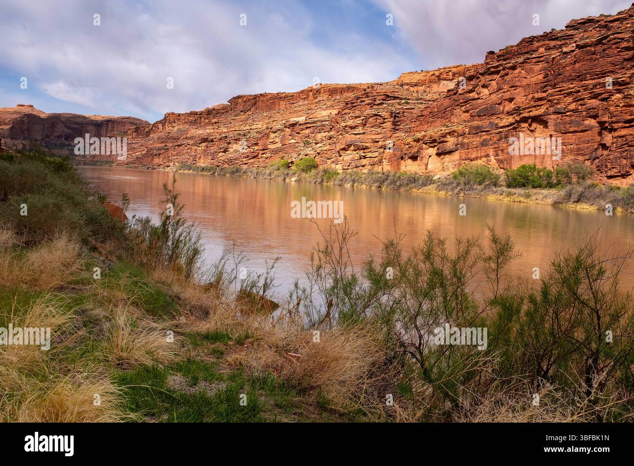 Moab, UT, USA. 31st May, 2025. High desert beauty along the Colorado ...