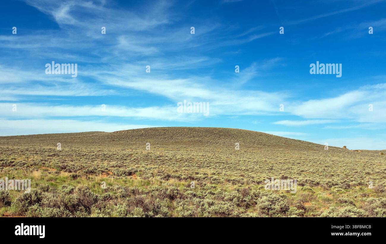 May 31, 2025: The rich green sage fields of the high desert of the ...