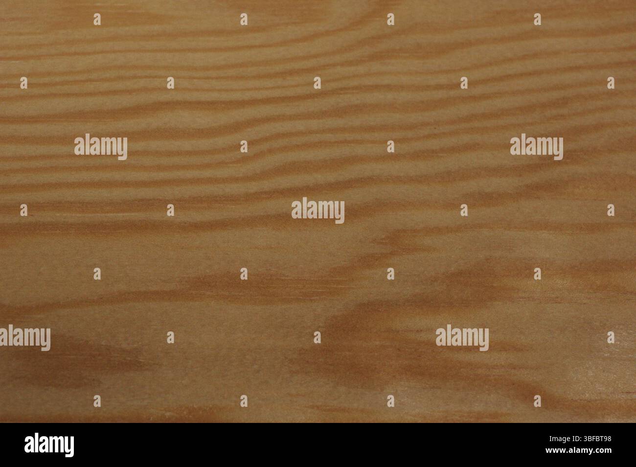 Pine wood pinus sp hi-res stock photography and images - Alamy