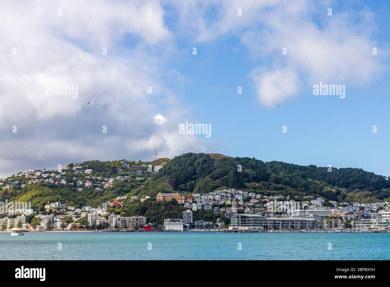 Cityscape of Wellington, the capital city of New Zealand Stock Photo ...