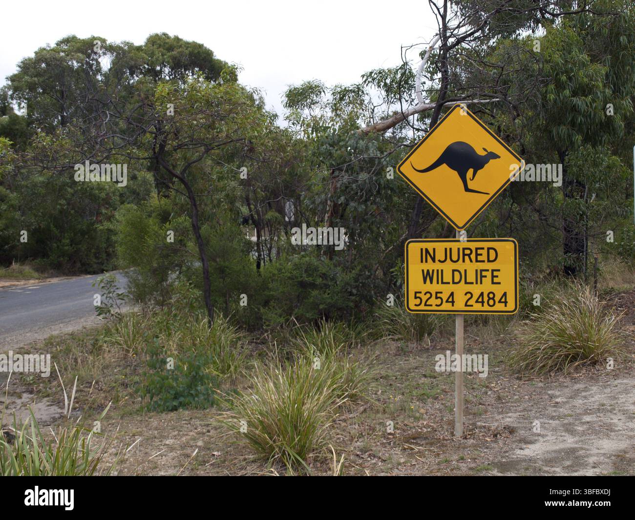 Kangaroo Shield Australia Stock Photo - Alamy