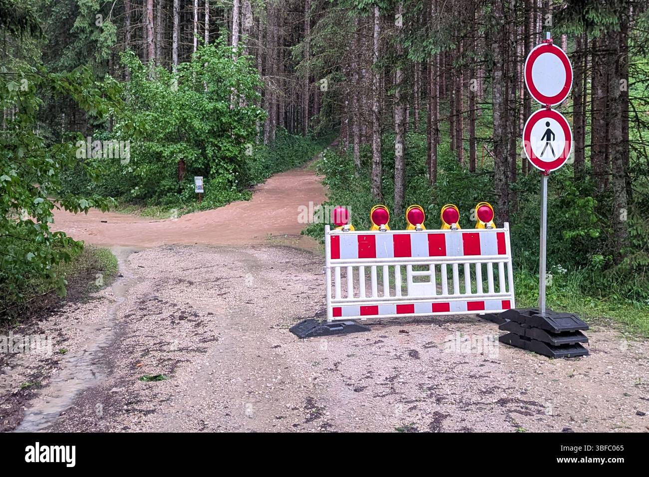 Blaustein, Germany. 31st May, 2025. Surface water runs down a forest ...