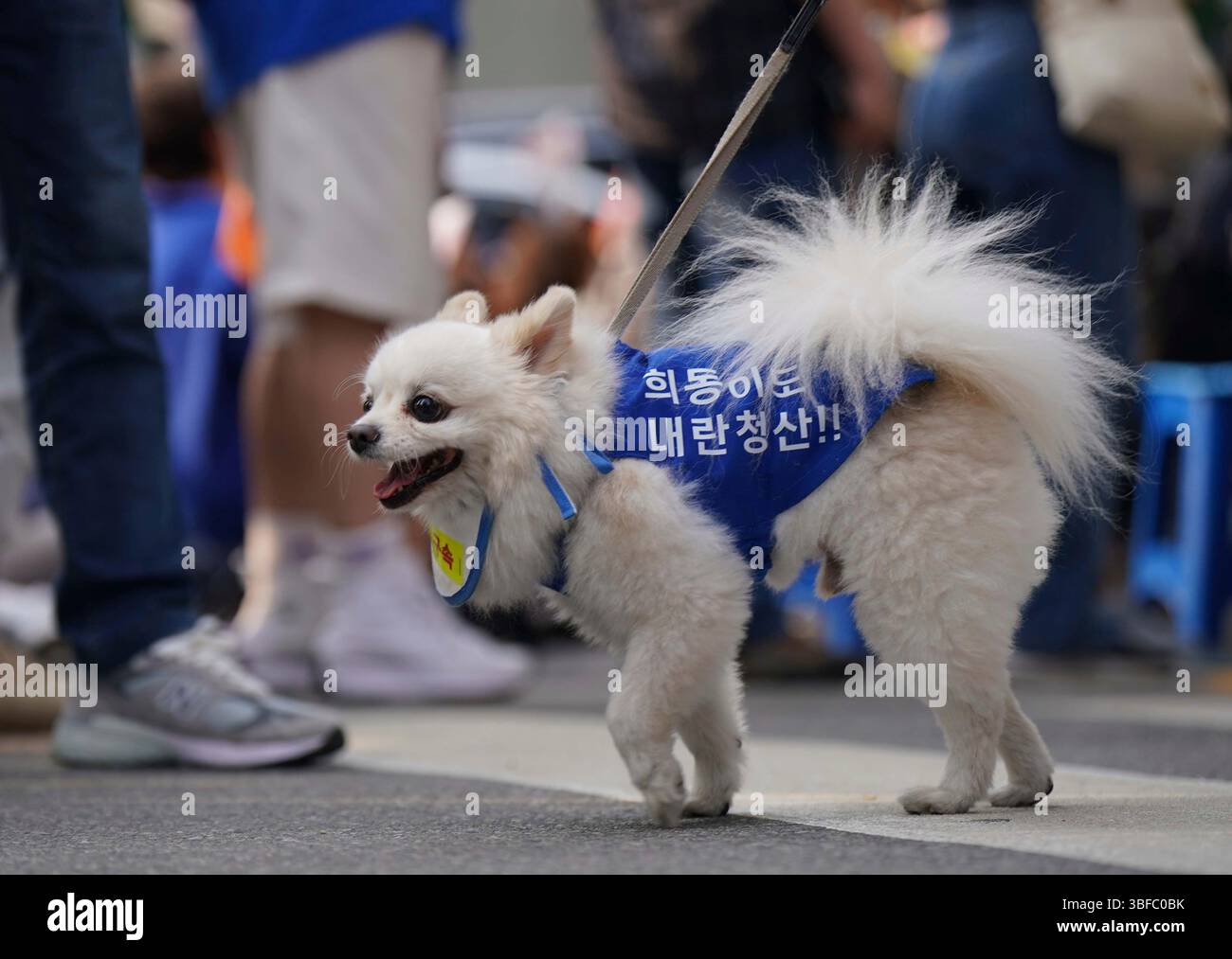 People gather at a rally by left-wing supporters of Democratic Party of ...