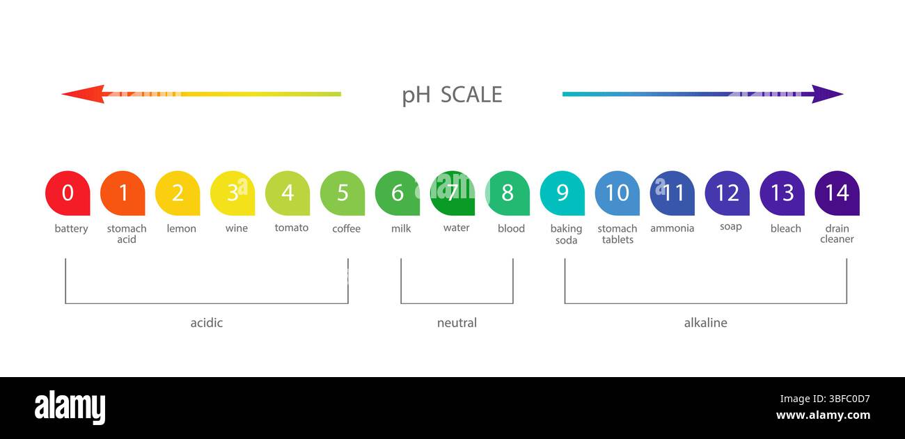 PH Scale. Acid and alkaline indicator. Chemical analysis or test ...