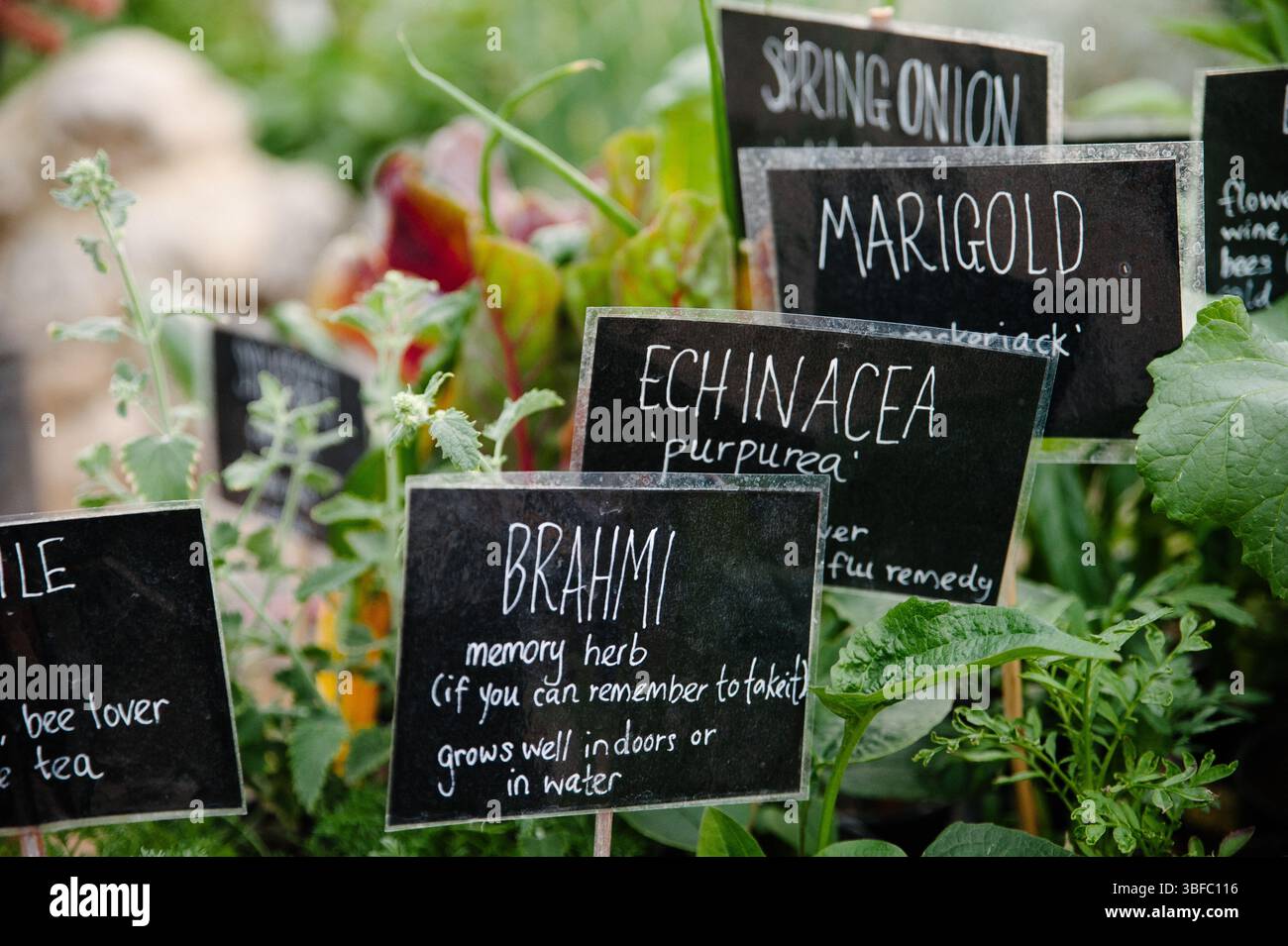 Nursery signage hi-res stock photography and images - Alamy