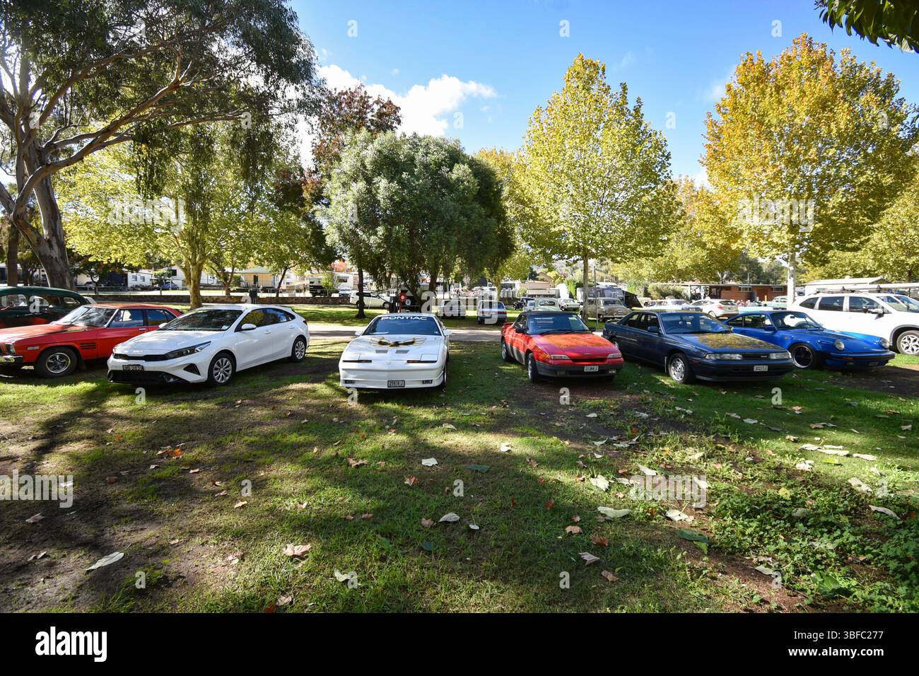 vintage car show in the park Stock Photo - Alamy