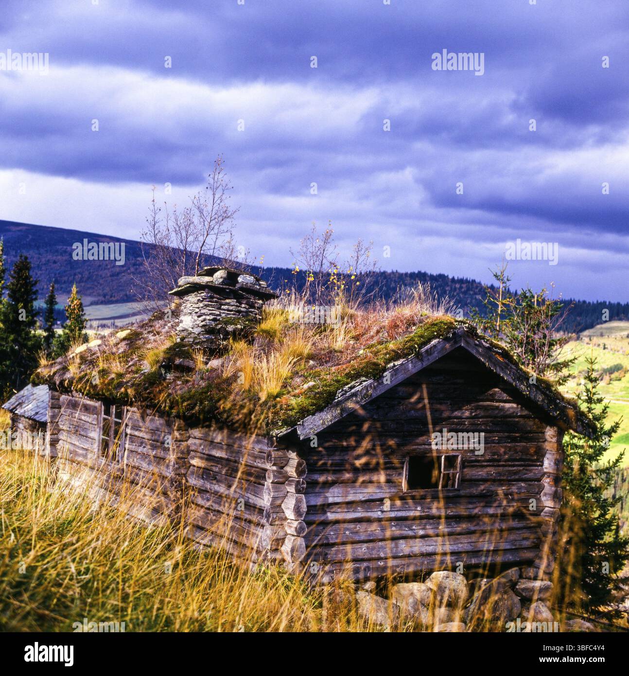 Old and stable TRADITIONAL BLOCK HOUSE norway Stock Photo - Alamy