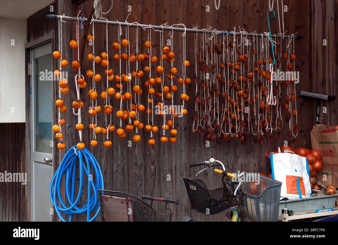 Hoshigaki dried persimmons hanging hi-res stock photography and images ...