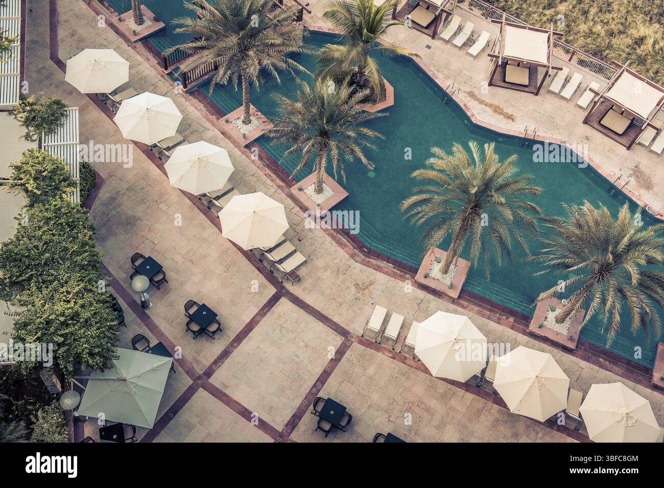 Hotel Poolside with Parasols and Palms. Top view shot Stock Photo - Alamy