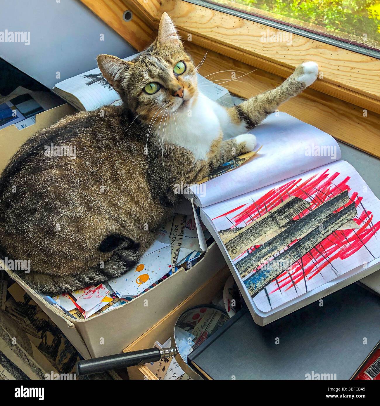 Art notebook hi-res stock photography and images - Alamy