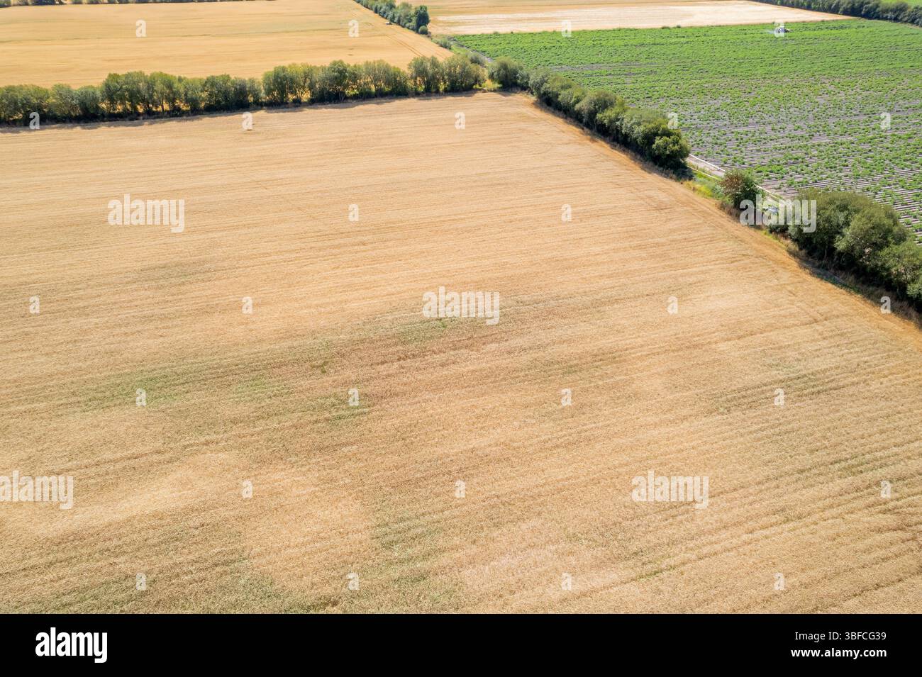 Expansive aerial green crop field hi-res stock photography and images ...