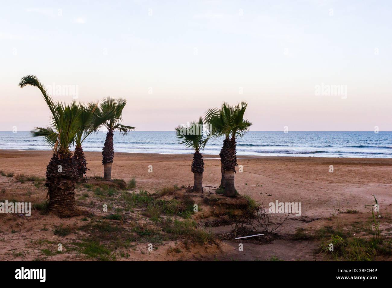 Serene coastal scene sandy hi-res stock photography and images - Alamy