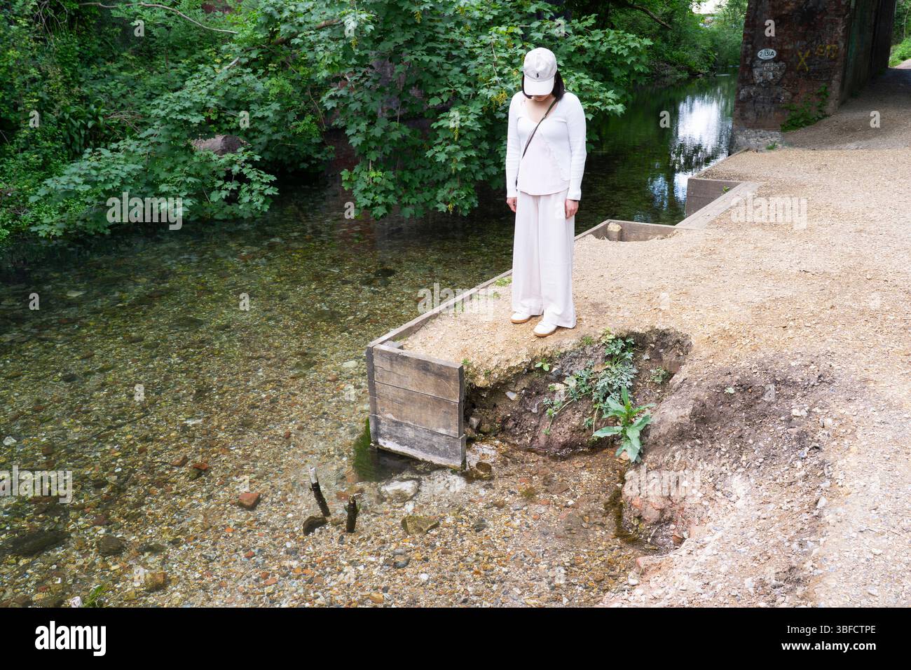 Woman looking at full bank scour occurring in the direction of flow ...