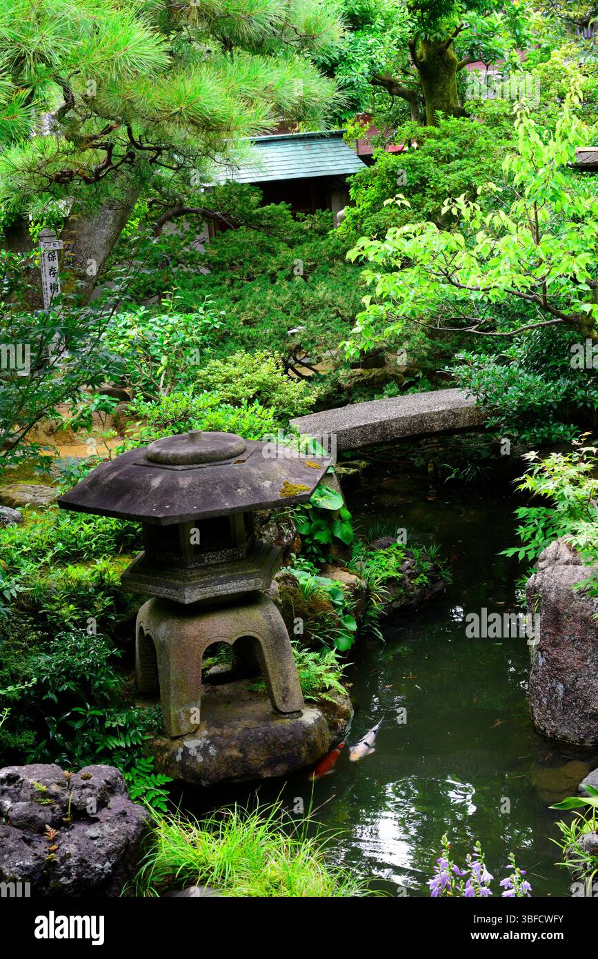 Nomura Samurai Family House garden in Nagamachi district of Kanazawa ...