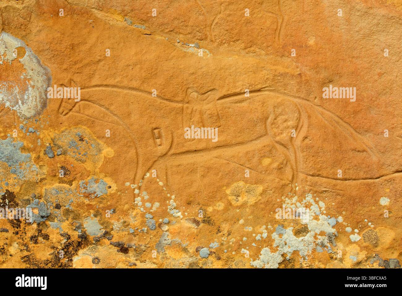 Crook's Brand petroglyphs, Canyon Pintado National Historic District ...