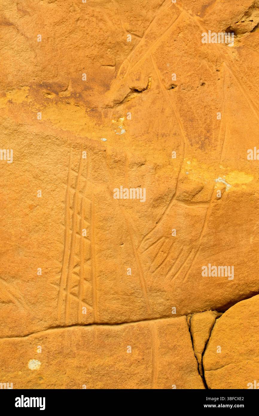 Crook's Brand petroglyphs, Canyon Pintado National Historic District ...