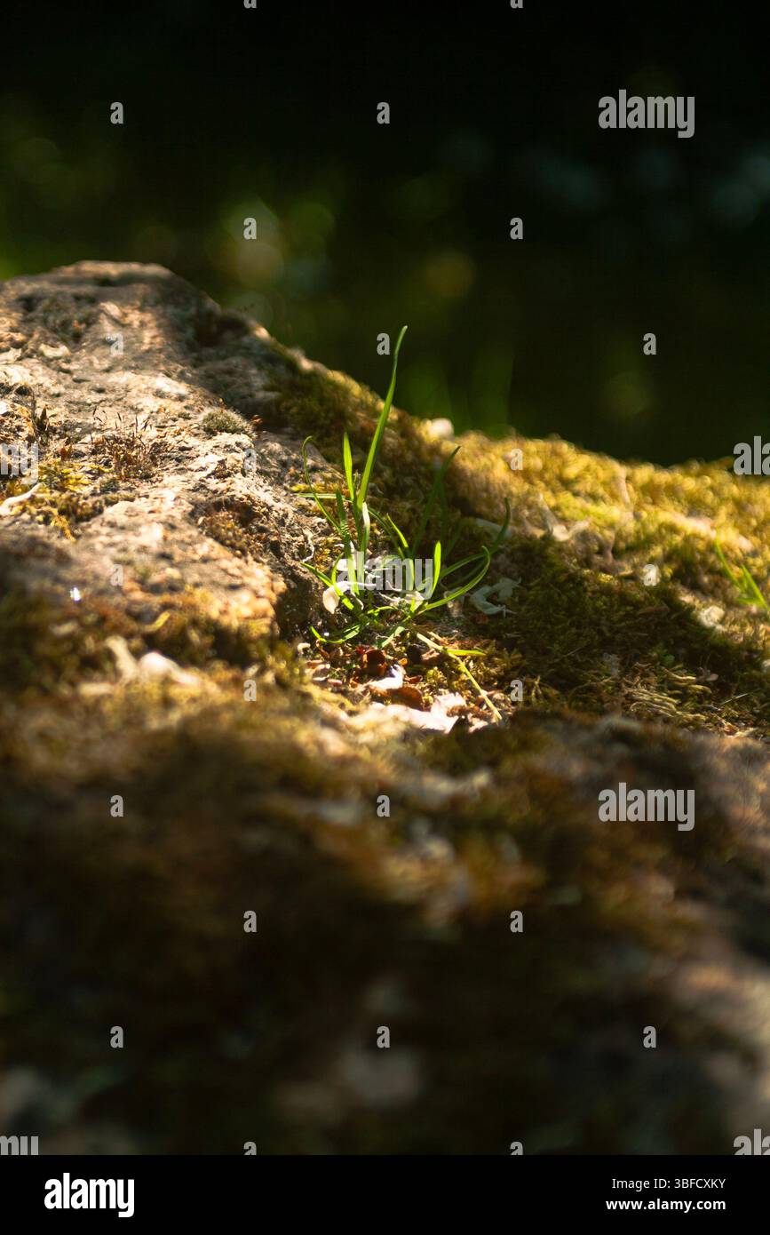 Rock shadow sunlight hi-res stock photography and images - Alamy