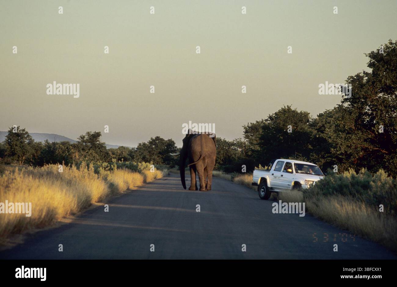 Dangerous encounter hi-res stock photography and images - Alamy