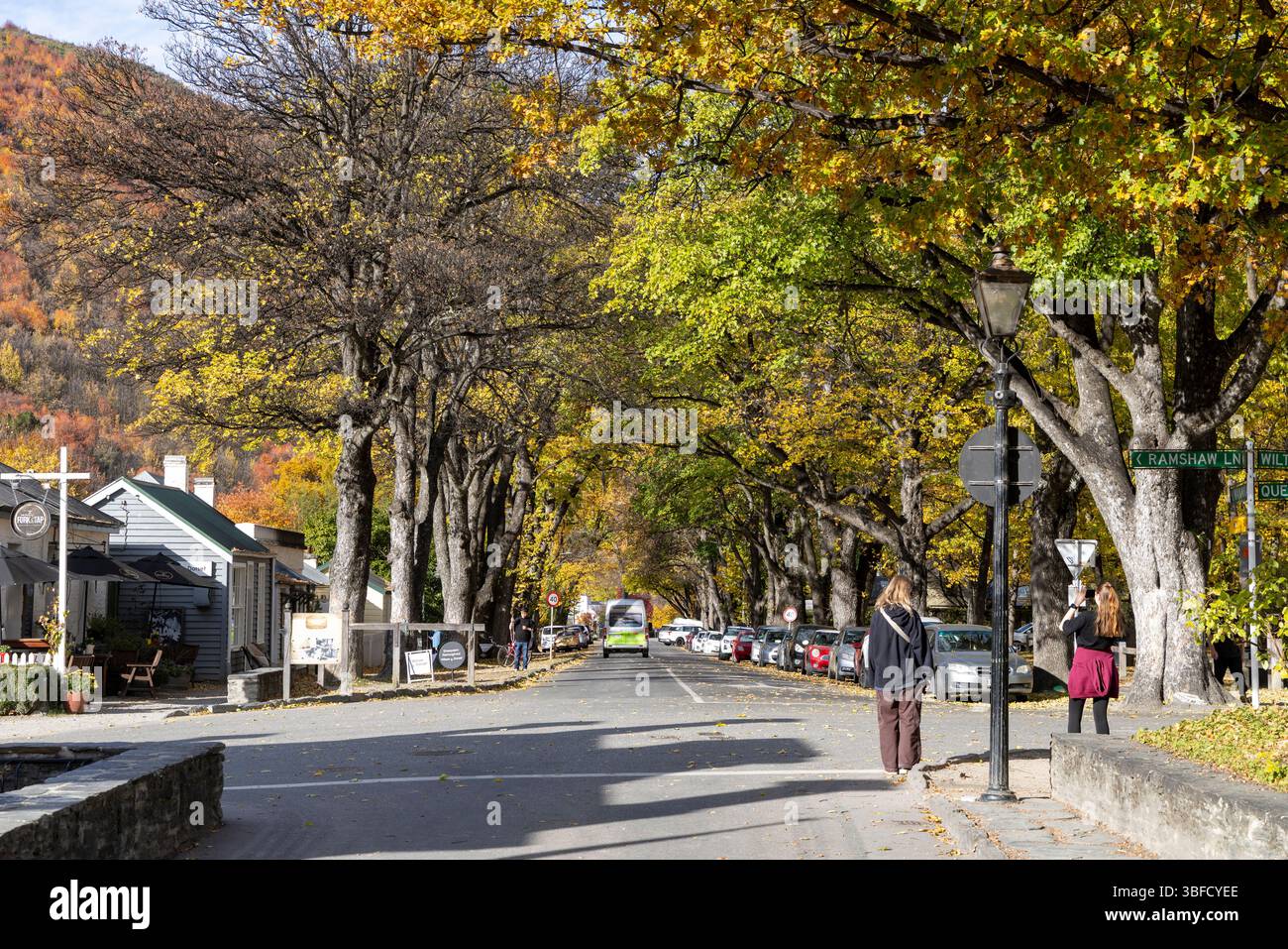 Autumn tree colours in Arrowtown, Otago, South Island,New Zealand,2025 ...