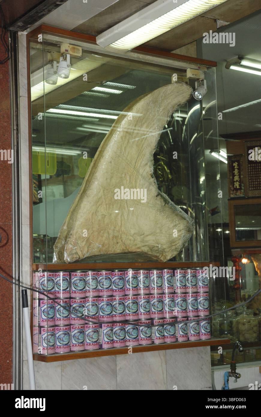 Shark fin in Chin. Restaurant Stock Photo - Alamy
