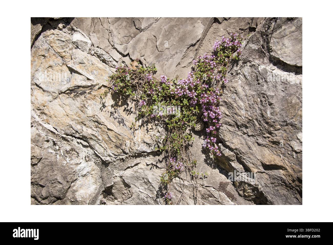 Road and stone wall Cut Out Stock Images & Pictures - Alamy