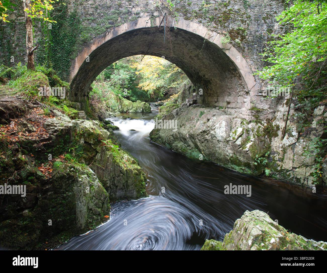 Tollymore forest game of thrones hi-res stock photography and images ...