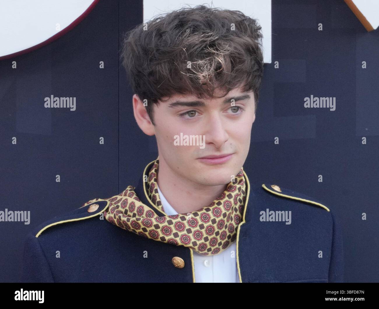 Los Angeles, USA. 31st May, 2025. Noah Schnapp arrives at the Netflix ...