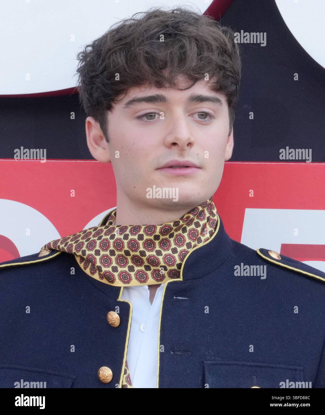 Los Angeles, USA. 31st May, 2025. Noah Schnapp arrives at the Netflix ...