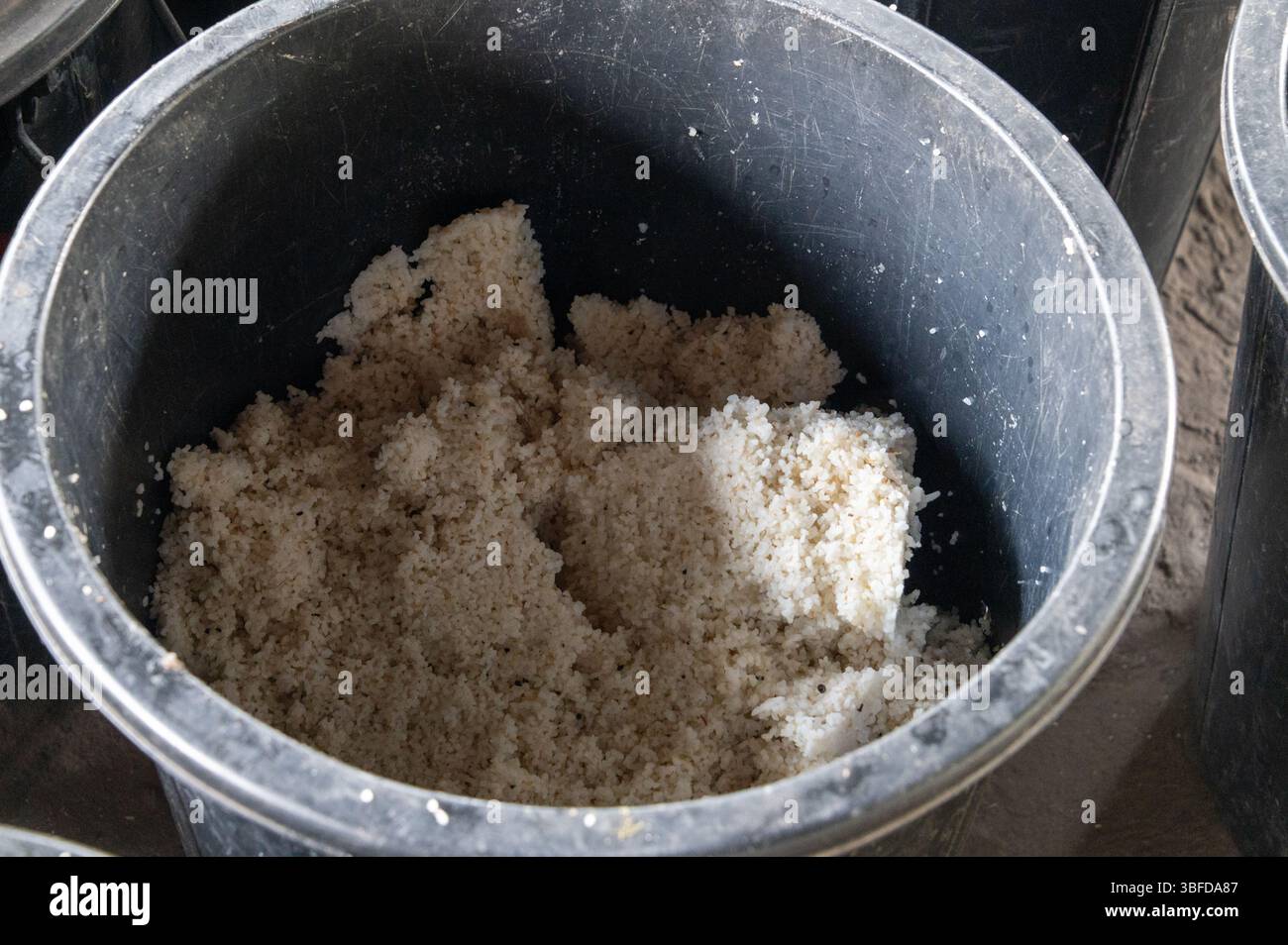 Rice whisky in the fermenting pot. A Whisky producing village of Ban ...