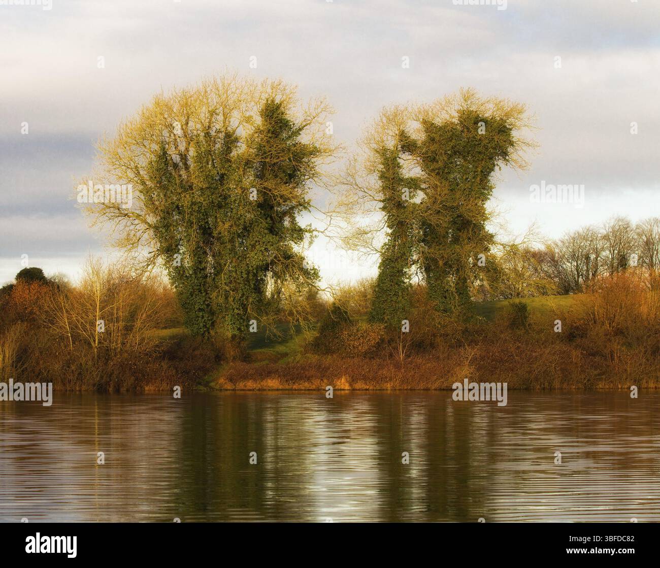 Nature of ireland hi-res stock photography and images - Alamy