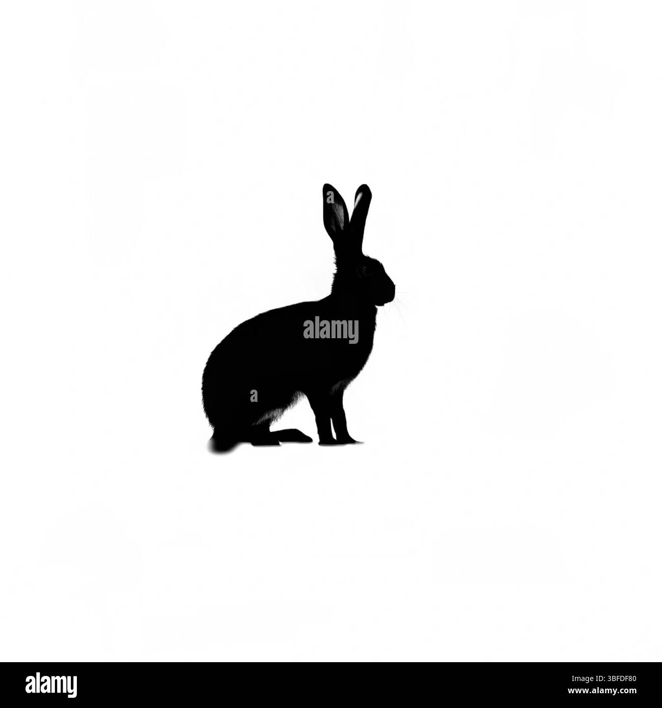 Rabbit icon silhouette black and white Stock Vector Image & Art - Alamy