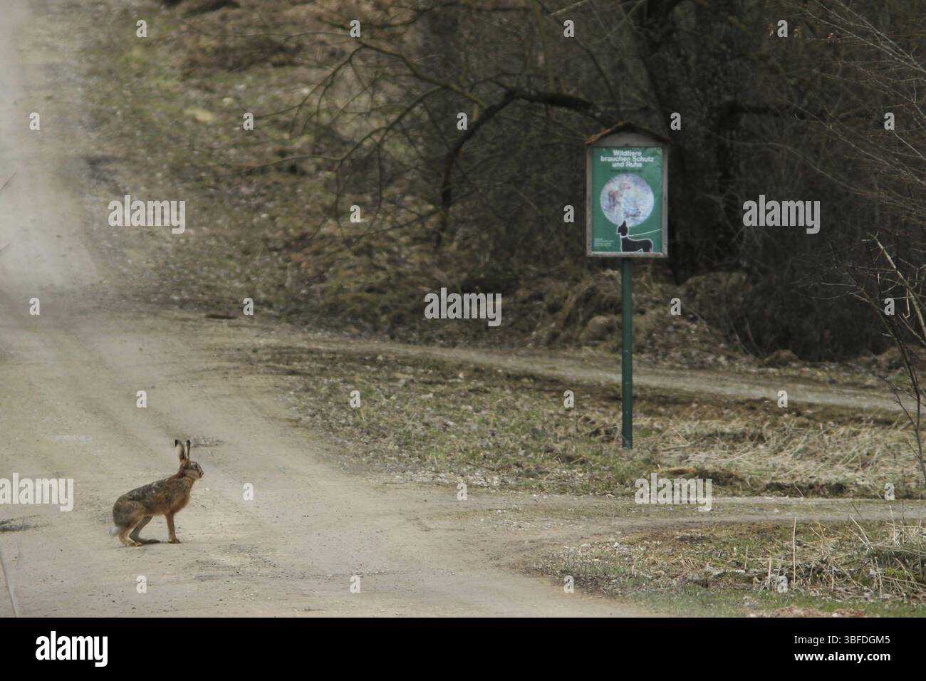 Wildlife rest area Stock Photo - Alamy