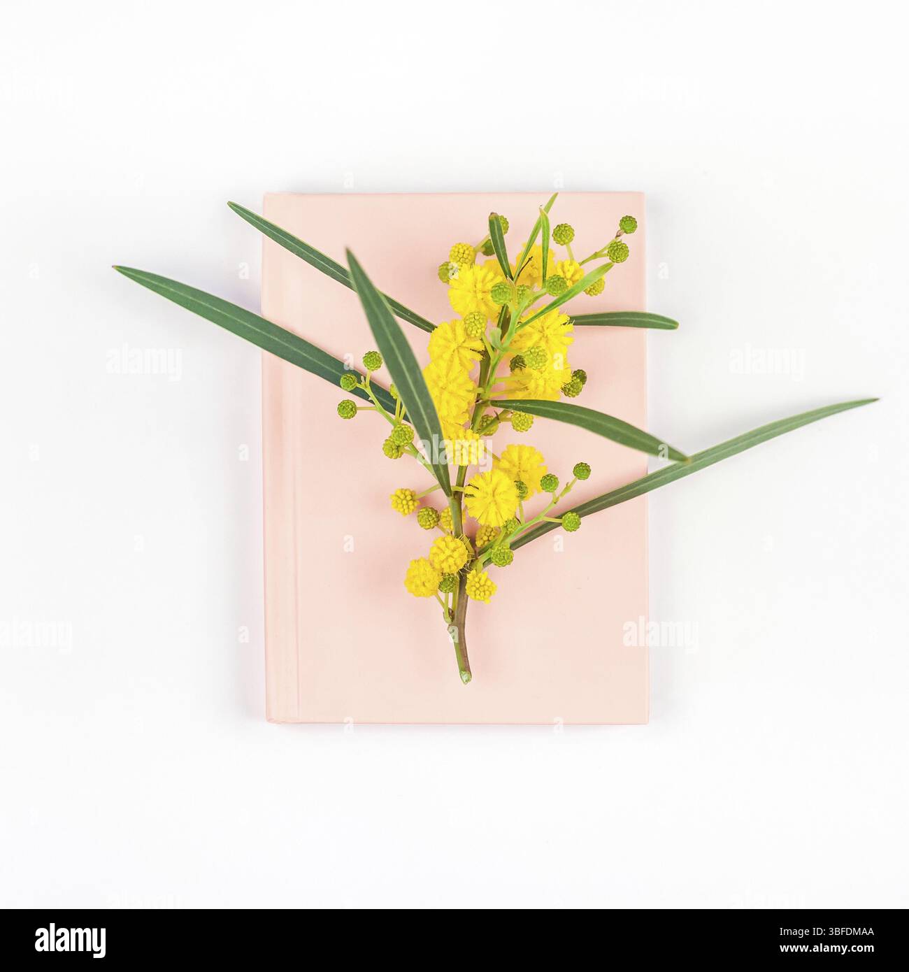 Laptop flat lay Cut Out Stock Images & Pictures - Alamy