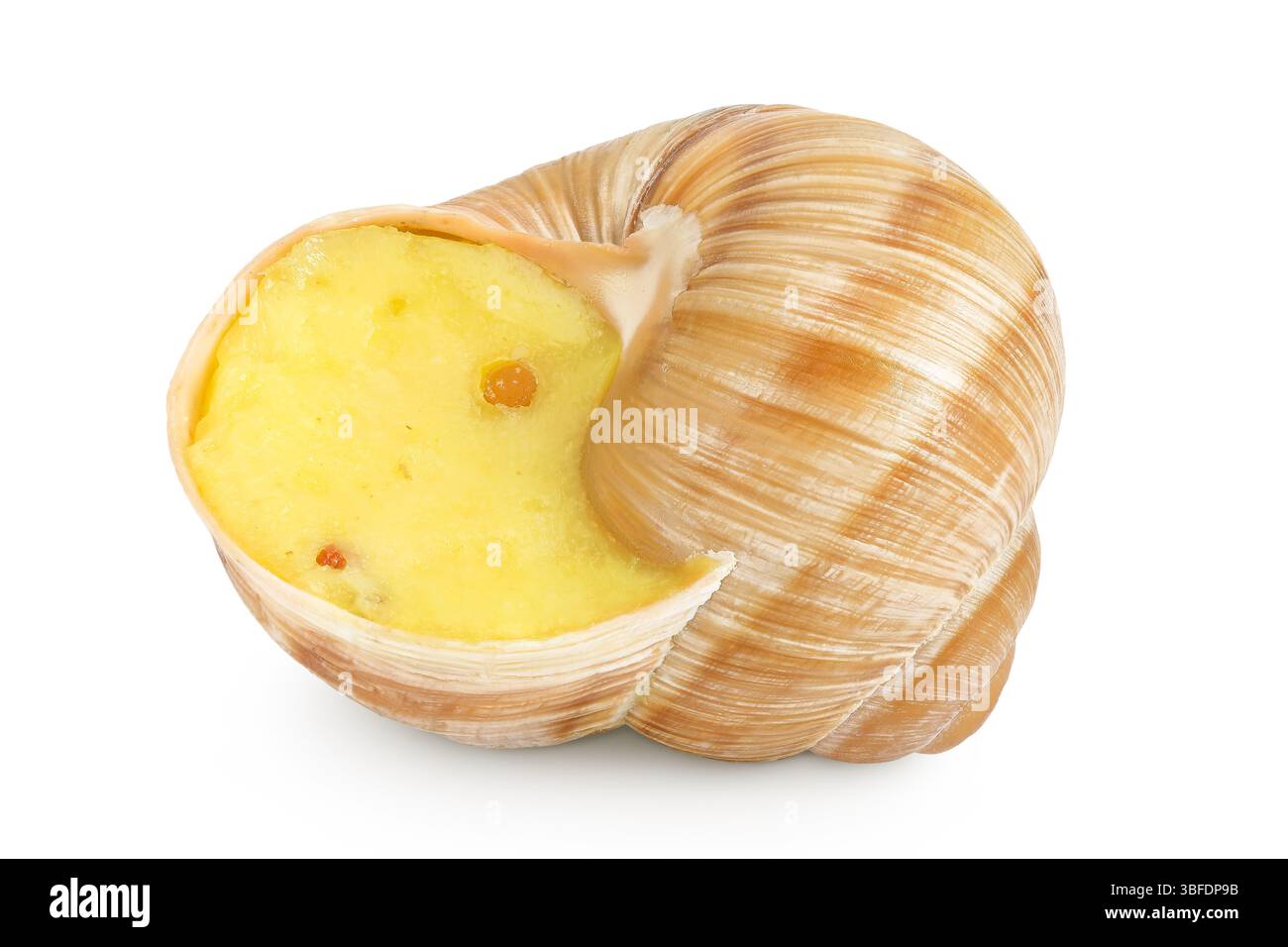 Dijon escargot snail filled with butter, garlic, Dijon mustard and ...