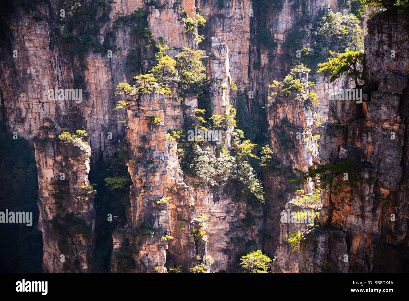 Avatar mountains in Zhangjiajie, China. Natural landmark and popular ...