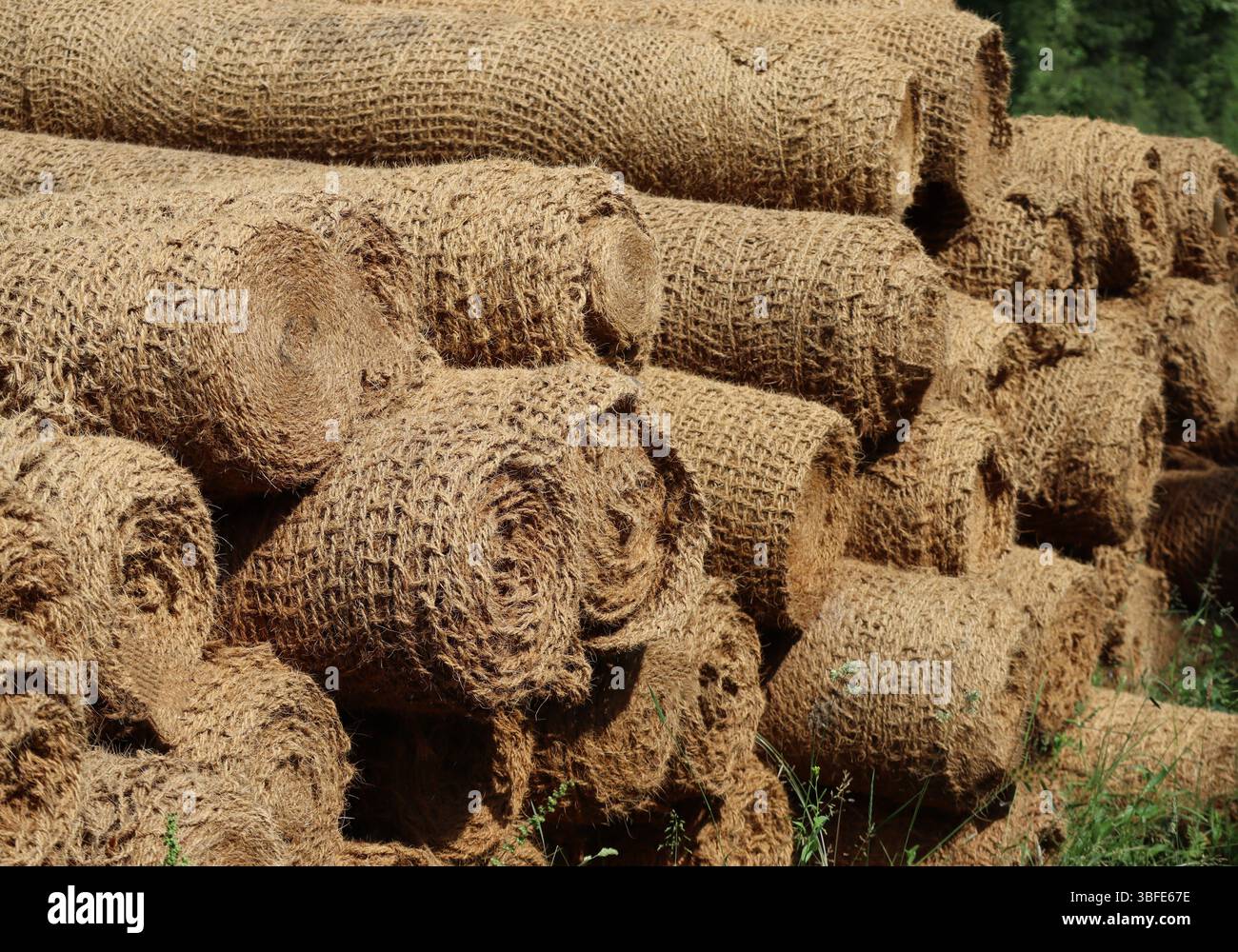 Coir Mats for Slope Stabilization Stock Photo - Alamy