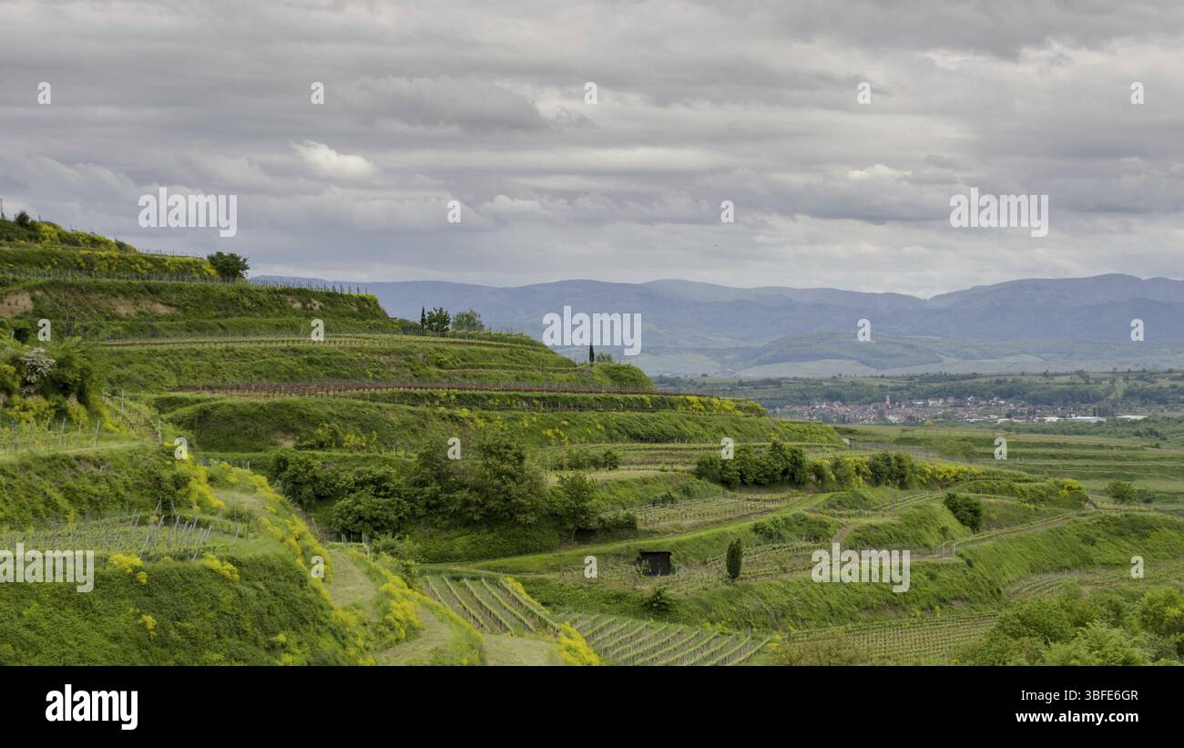 Photography cultural hi-res stock photography and images - Alamy