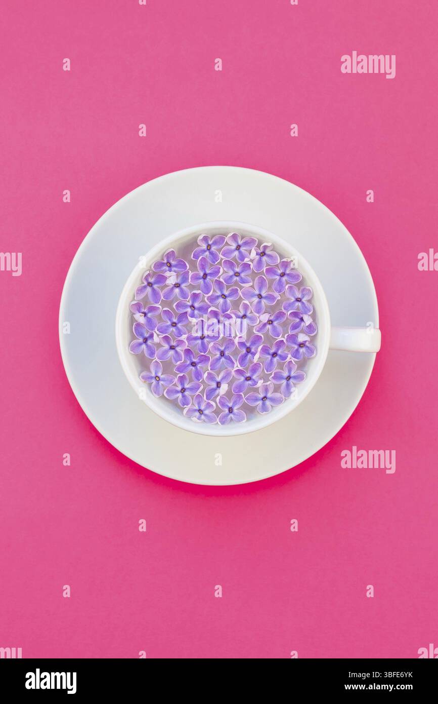Creative flat lay concept top view of white cup of beautiful lilac ...