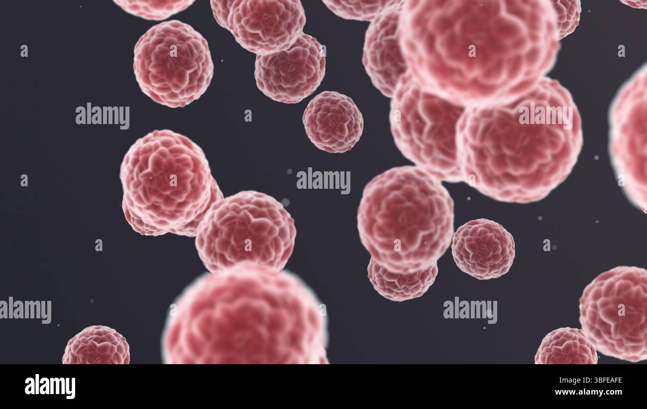 Cells hi-res stock photography and images - Alamy